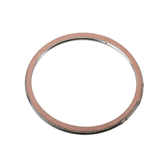 GM 12672379 Catalytic Converter Gasket - Walmart.com