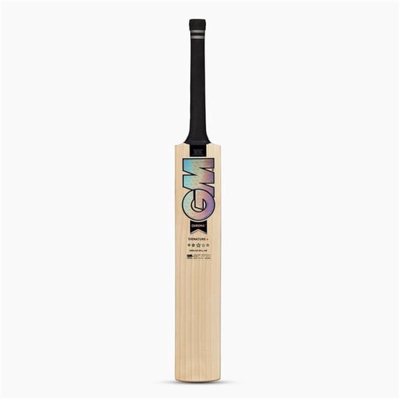 GM 1602437 Chroma Signature Plus English Willow Cricket Bat - Multi ...