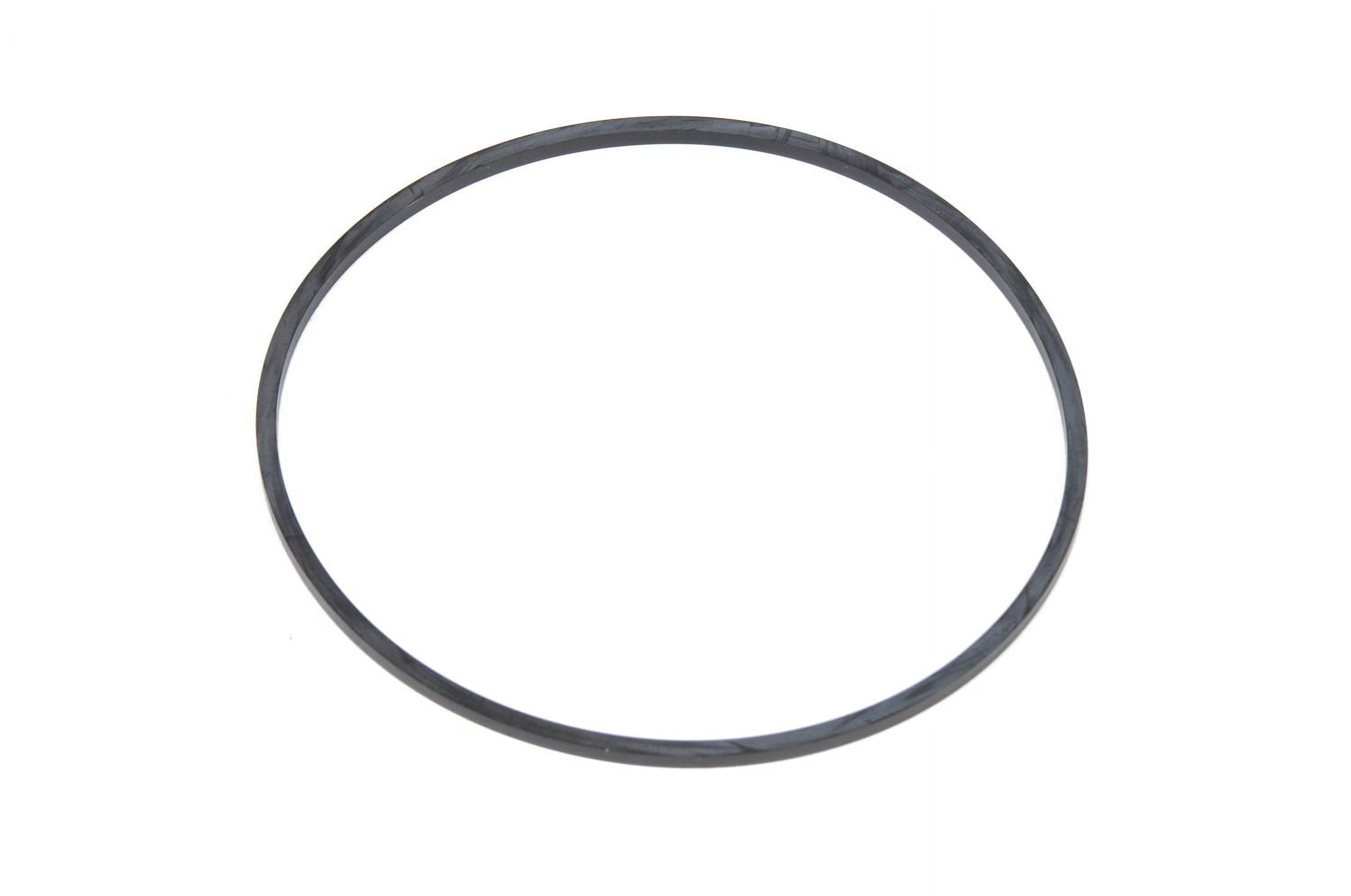 GM Genuine Parts 15521872 Front Differential Bearing Adjuster O-Ring ...
