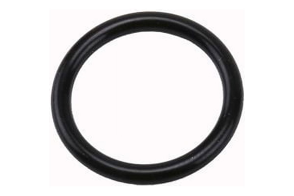 GM Genuine Parts Crankcase Seal - Walmart.com