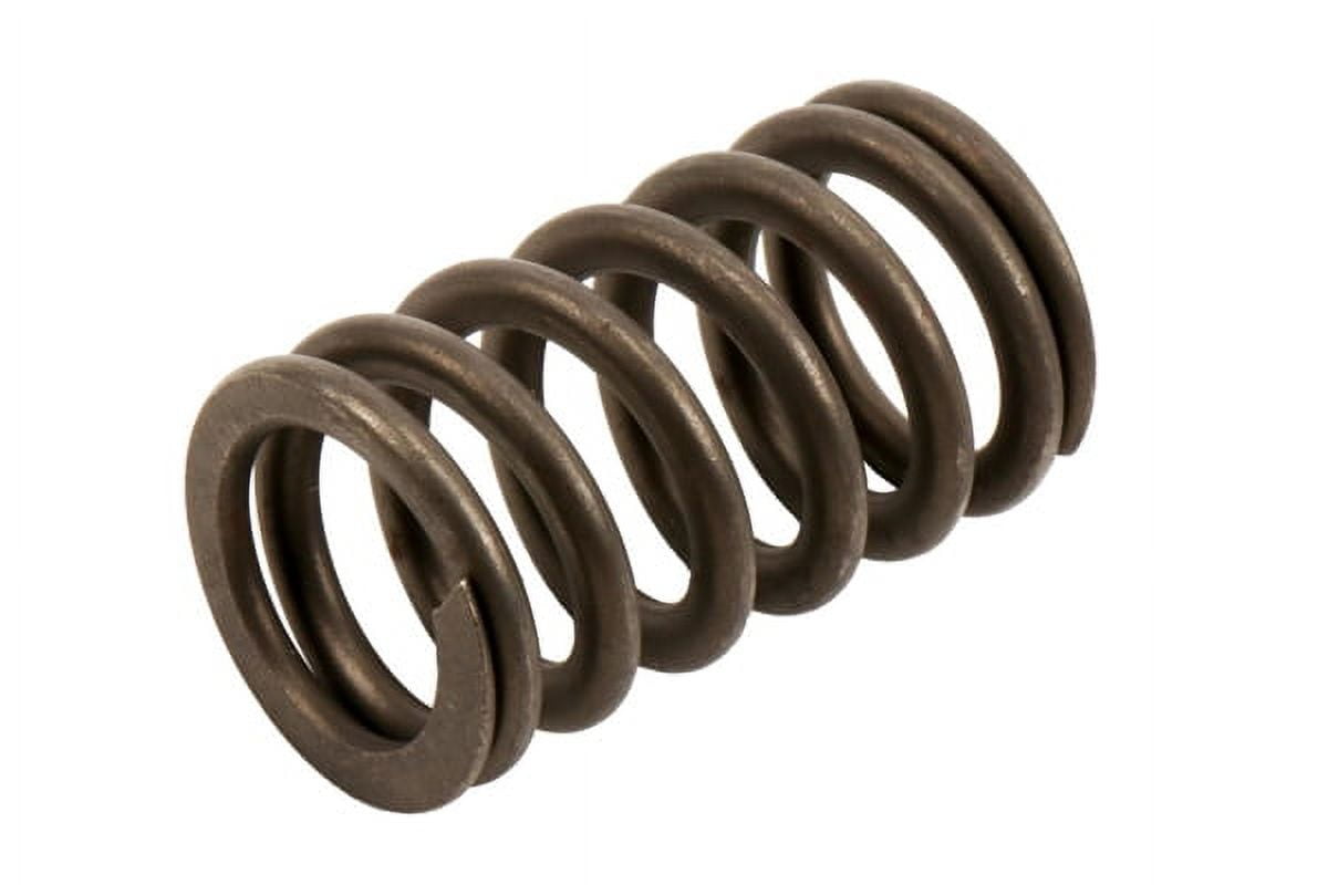 GM Genuine Parts Engine Valve Spring - Walmart.com