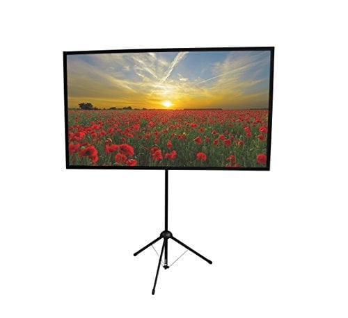 GO-80 Portable Projector Screen | 80 inch | Mounts on Tripod AND Wall ...