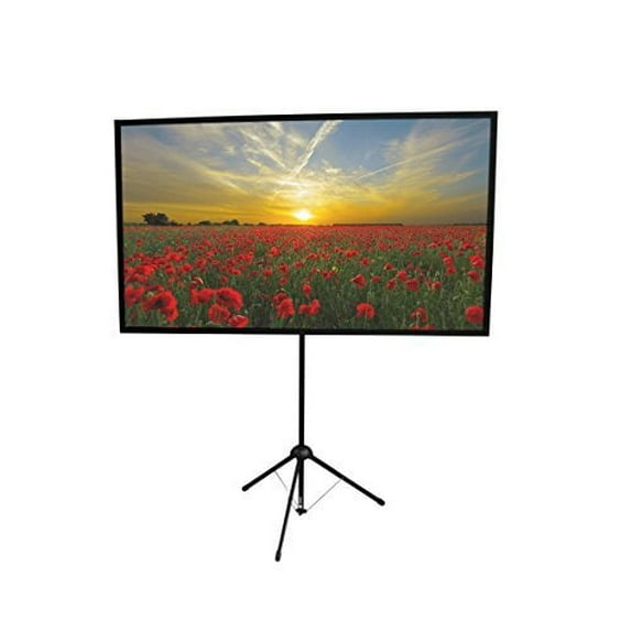 GO-80 Portable Projector Screen | 80 inch | Mounts on Tripod AND Wall ...