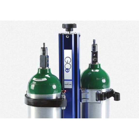 GO2 Oxygen Holder in Dual Configuration | FE201122-2 - Walmart.com