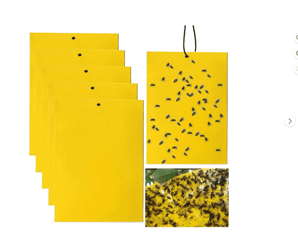 GOAWTFAFS 30 Pack Yellow Sticky Traps, Gnat Trap, Gnat Killer, Fruit ...