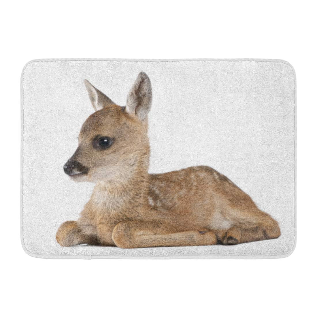 GODPOK Animal Brown Baby Roe Deer Fawn Lying Down Capreolus 15 Days Old ...