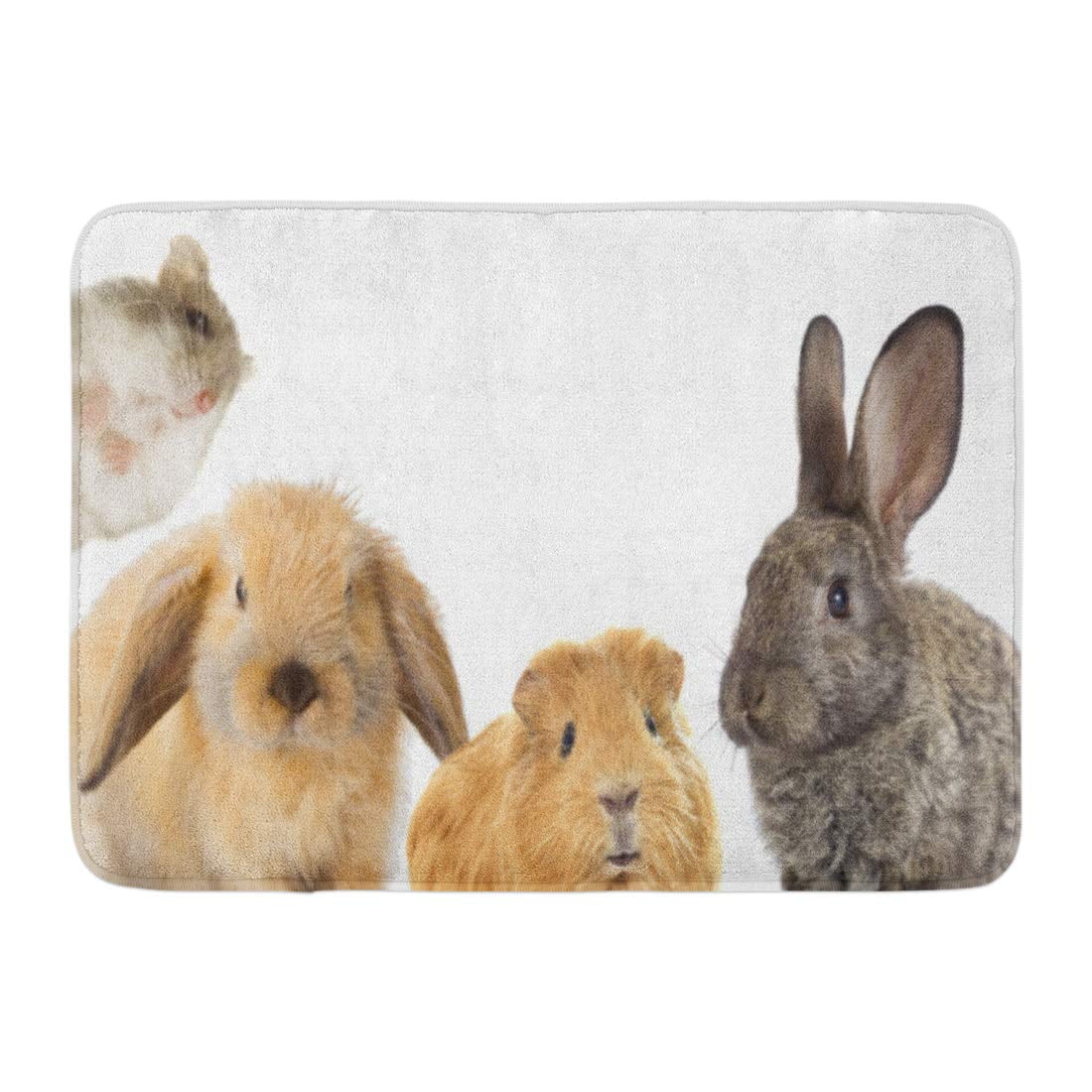 GODPOK Baby Gray Funny of Rodents Rabbit and Guinea Pig and Hamster ...