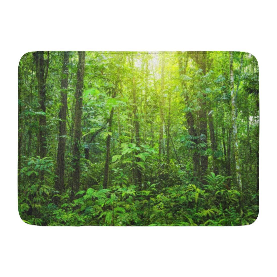 GODPOK Borneo Green Rainforest Dense Forest Tropical with Morning ...
