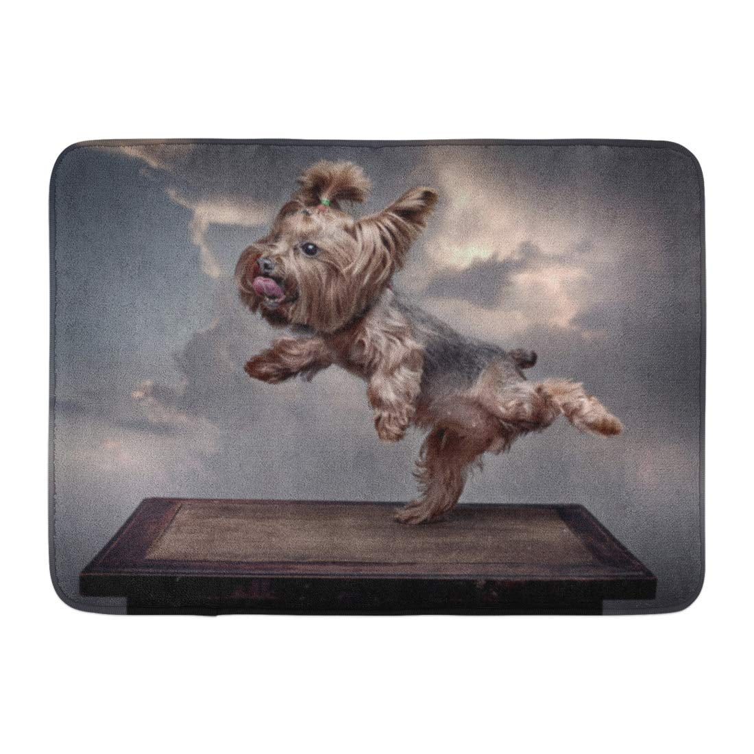 GODPOK Cute Dog Yorkie Yorkshire Terrier Dancing Standing on Its Hind ...