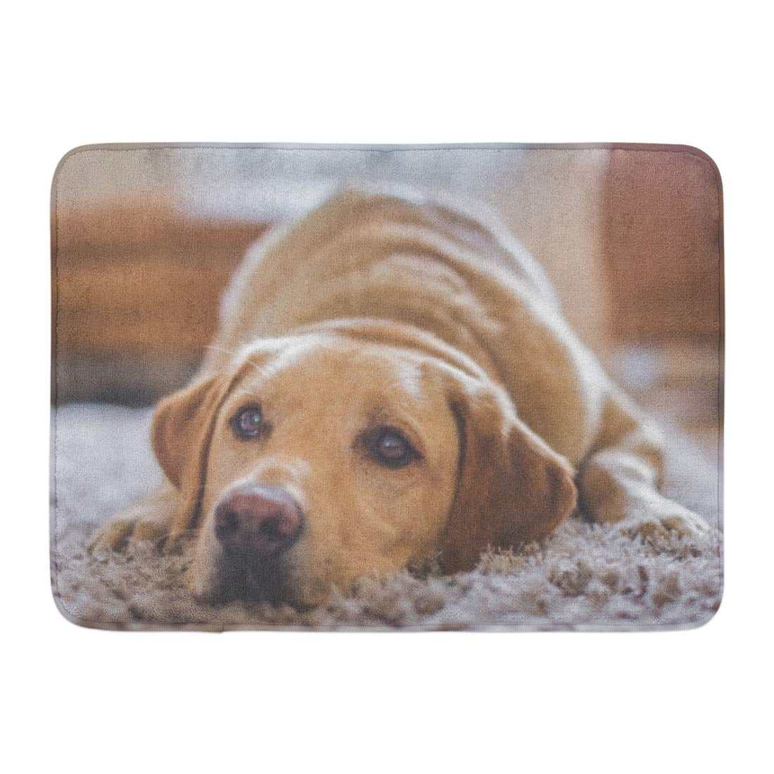 GODPOK Family Animal Golden Labrador Dog Cute Pets Rug Doormat Bath Mat ...
