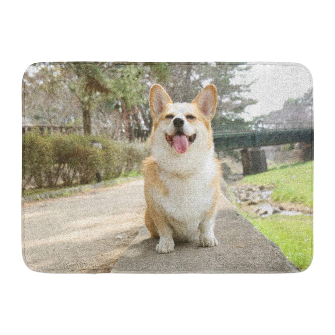 GODPOK Green Adult Blue Happy Pembroke Welsh Corgi Brown Smile White ...