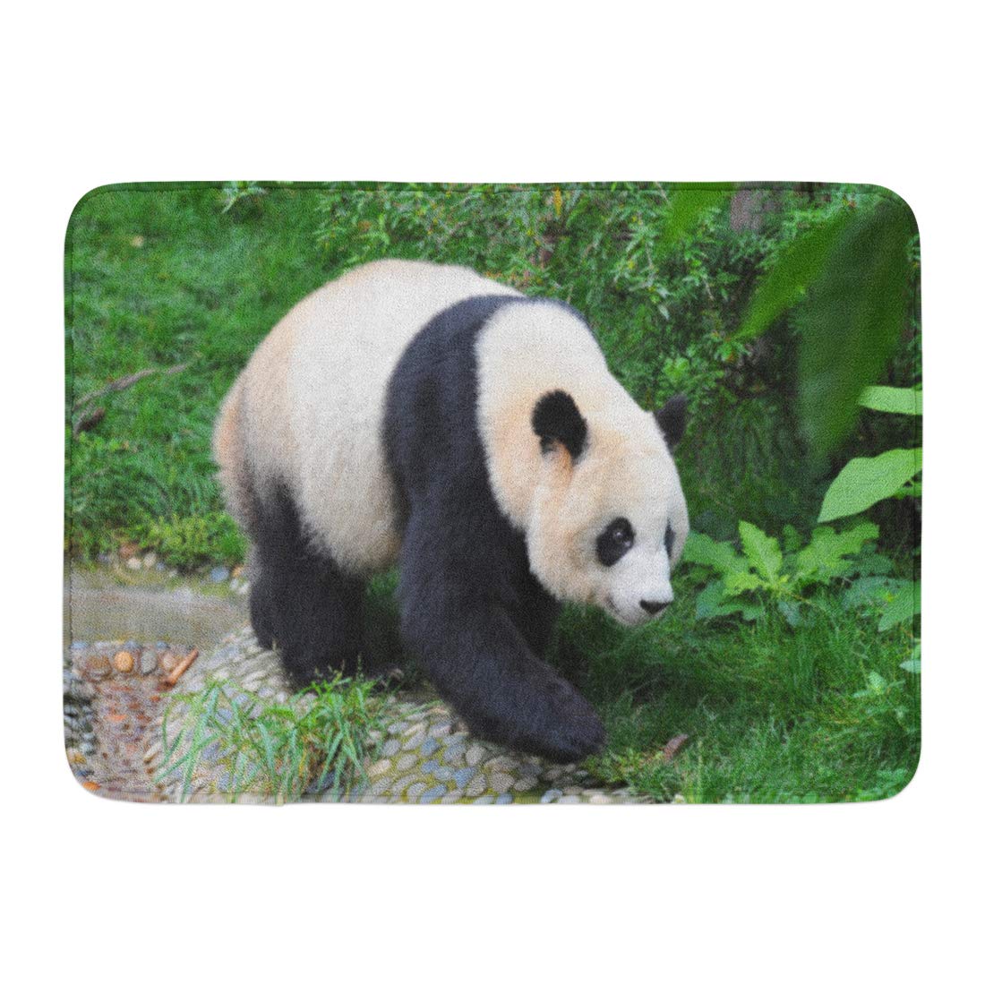 GODPOK Green Animal White Cute Giant Panda Bear on The Walk Black Asia ...