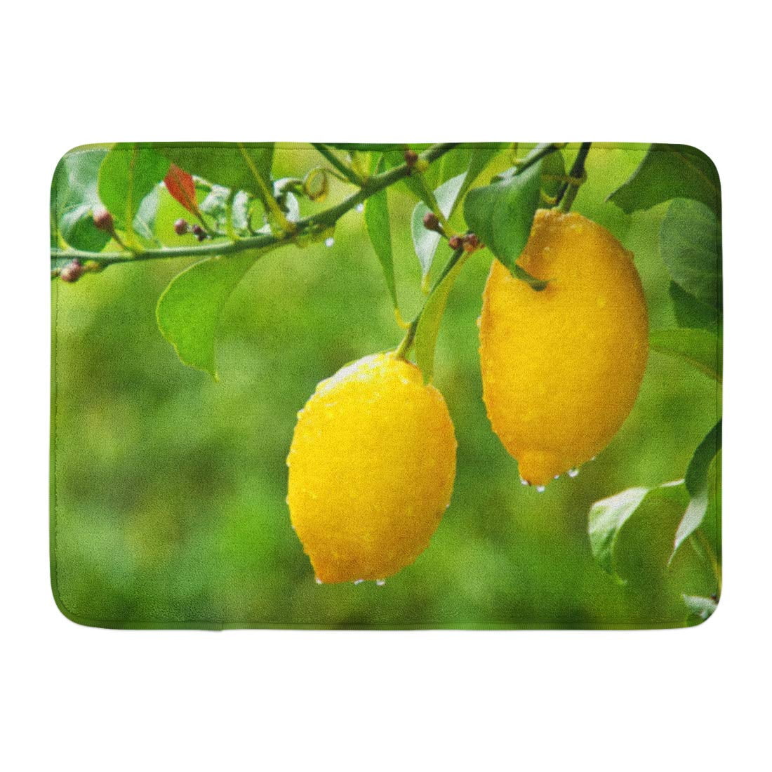GODPOK Green Juice Orange Fruit Yellow Lemons Hanging on Tree Colorful ...
