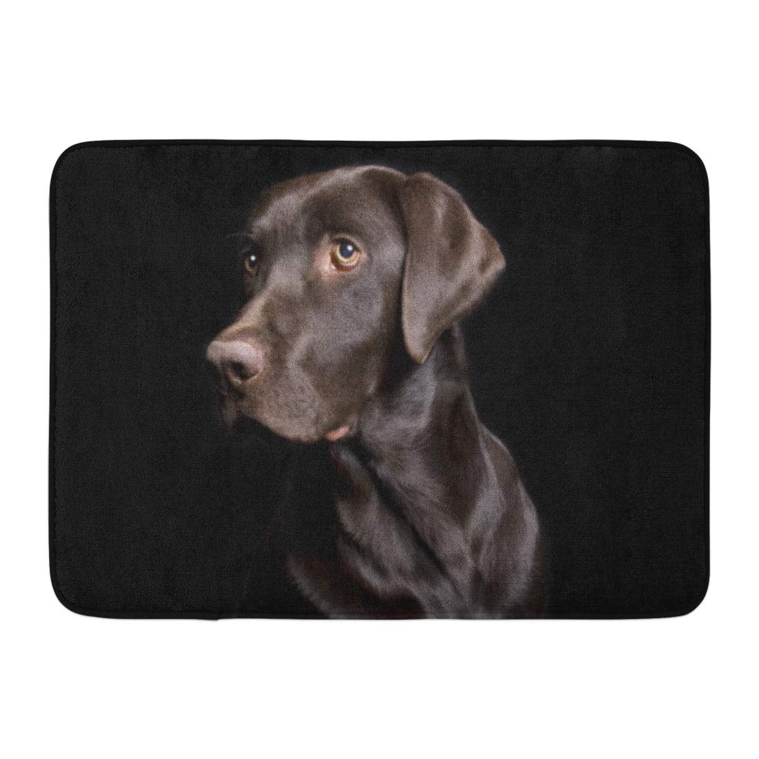 GODPOK Retriever Brown Dog Low Key of Chocolate Lab on Black in Three ...