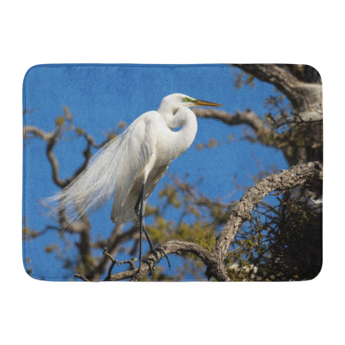 GODPOK The Great Egret in Breeding Plumage is Little Over Three Feet ...