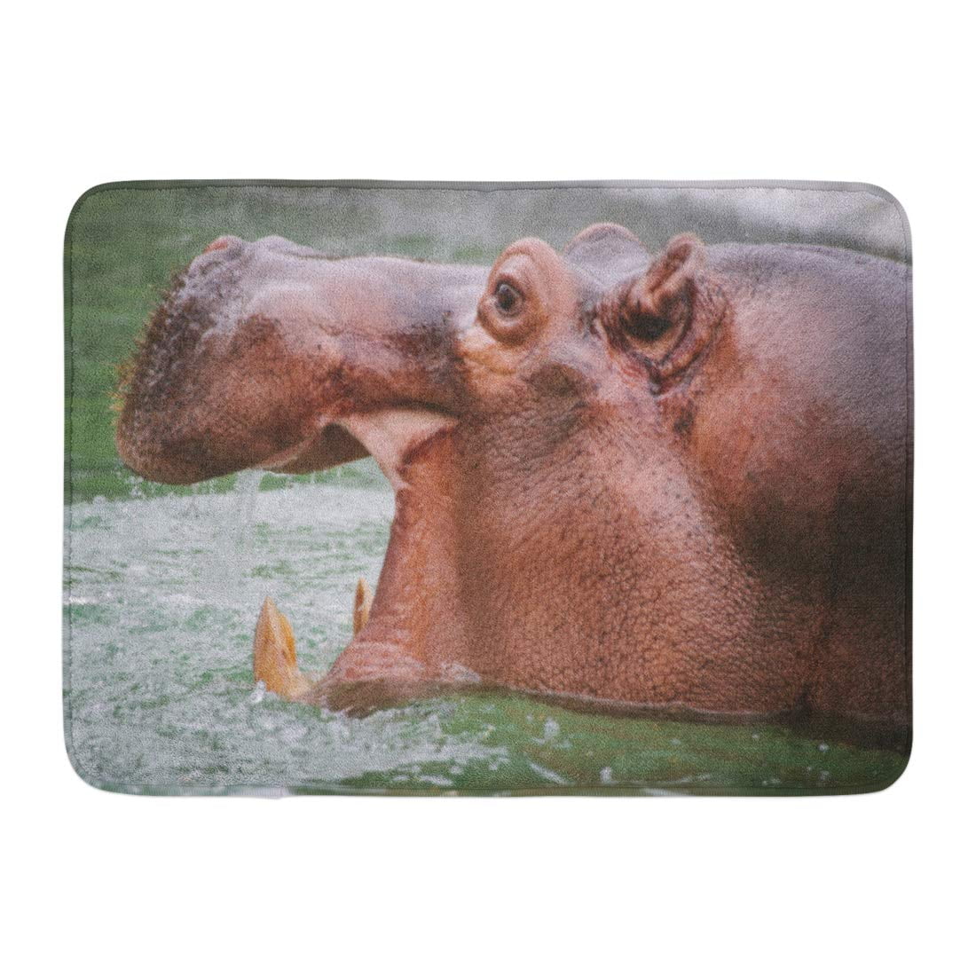 GODPOK Zoo Amphibians Hippo Yawning in Water Canines Hippopotamus Rug ...