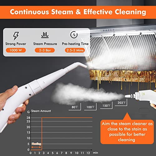 GOFLAME Handheld Steam Cleaner, 1000W Portable Pressurized Cleaner with ...