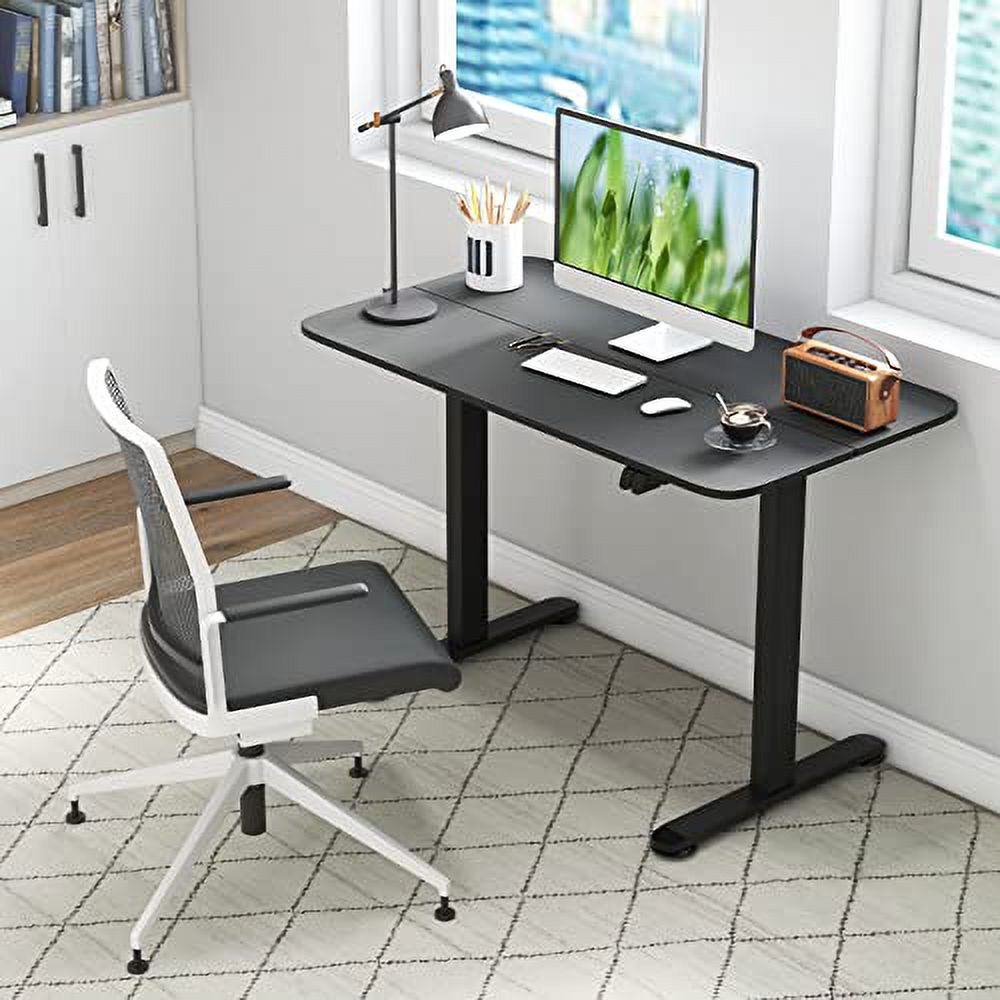 GOFLAME Height Adjustable Electric Standing Desk, 44 x 24 Inches Sit to ...