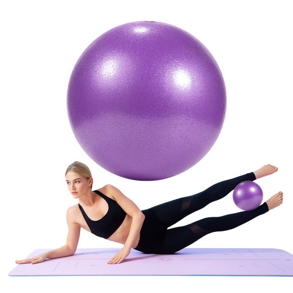 Exercise Ball for Physical Therapy, Swiss Ball Physio Ball for Rehab ...