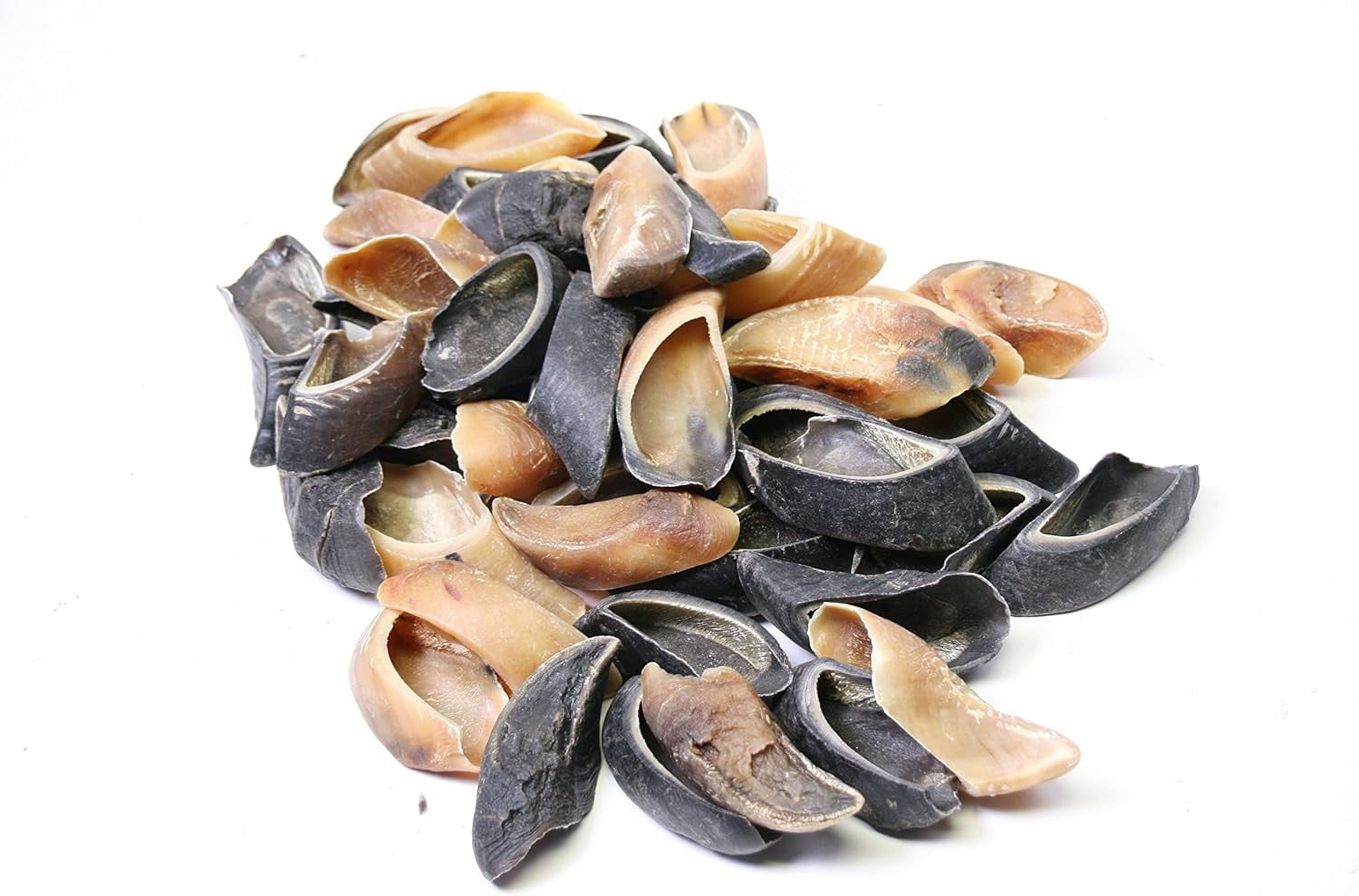 GOGO USA Cow Hooves for Dogs USA Dog Dental Treats and Chews, 50 Hooves ...