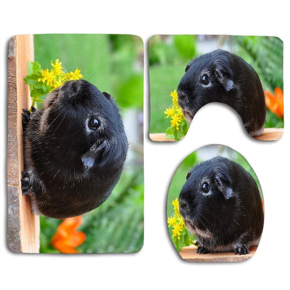 GOHAO Black Guinea Pig 3 Piece Bathroom Rugs Set Bath Rug Contour Mat ...