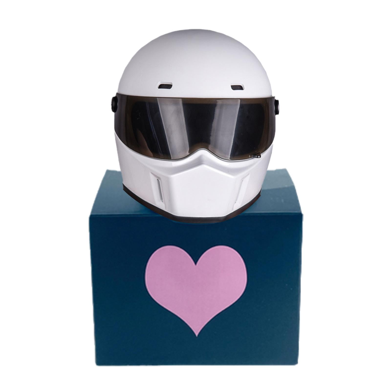 GONGWU Pet Motorcycle Helmet,Full Face Motorcycle Helmet,Puppy Cat Dog ...