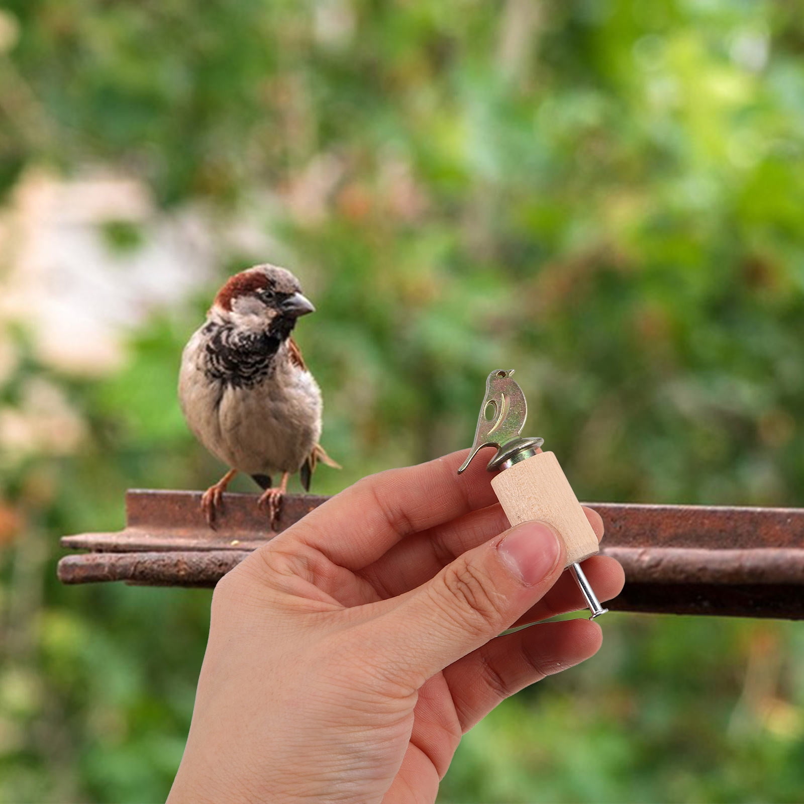 GETAJGHSD GooHochy 1 Set Pigeon Training Whistles Simulates Real Bird ...