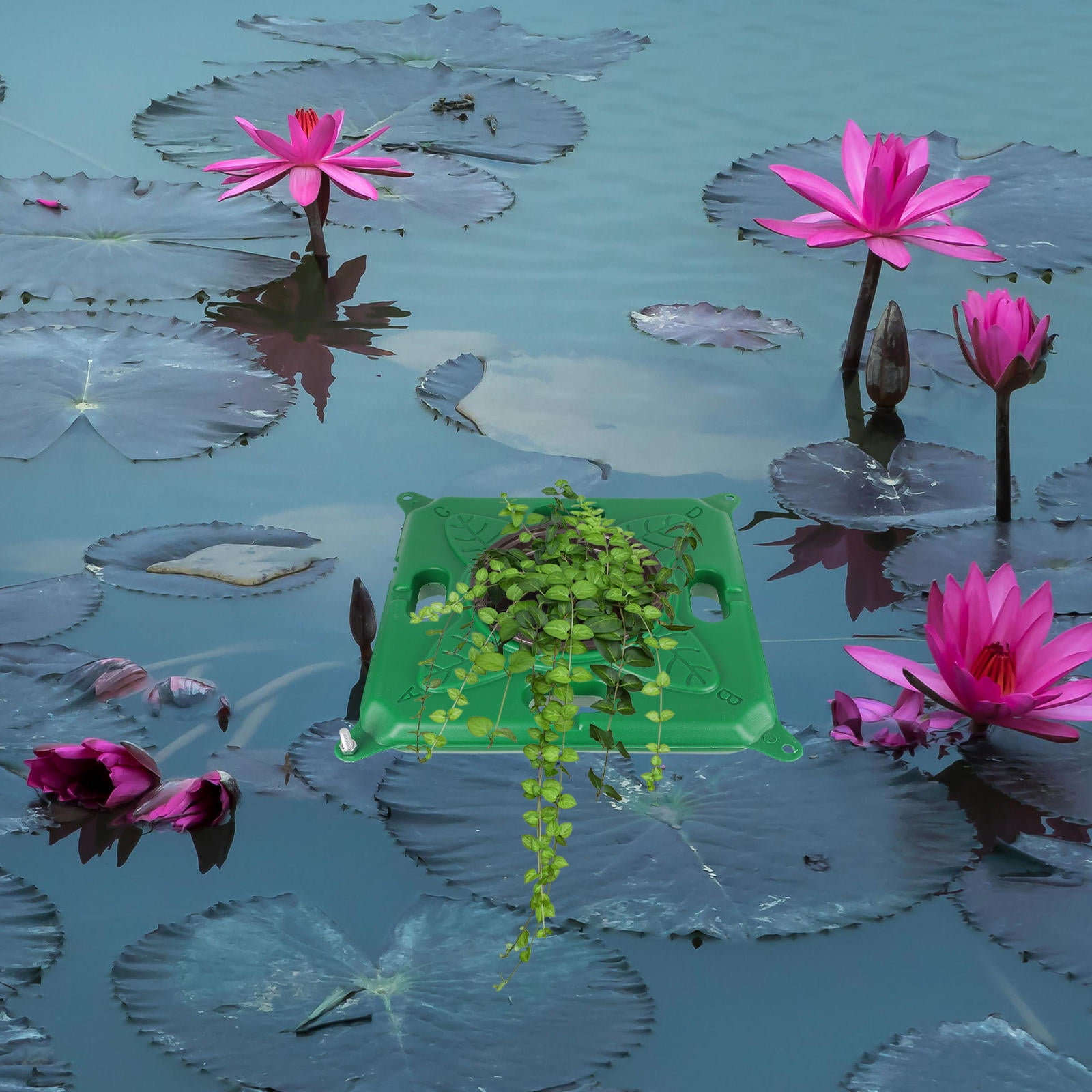 GOOHOCHY 1 Set Floating Aquatic Water Garden Pond Planter Basket ...