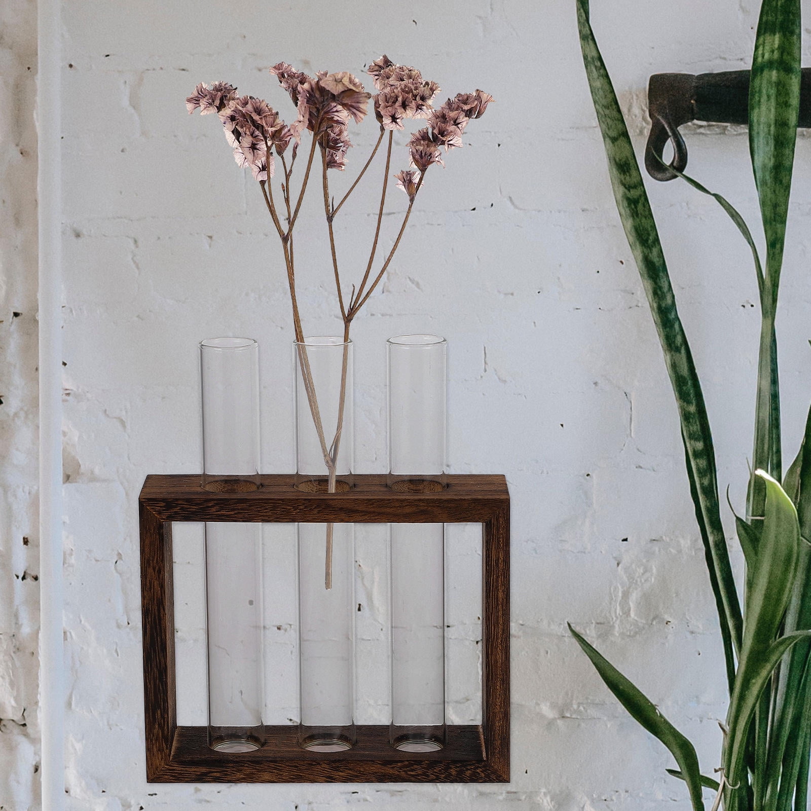 GOOHOCHY 1 Set Plant Propagation Tube Transparent Propagation Tube Wall ...