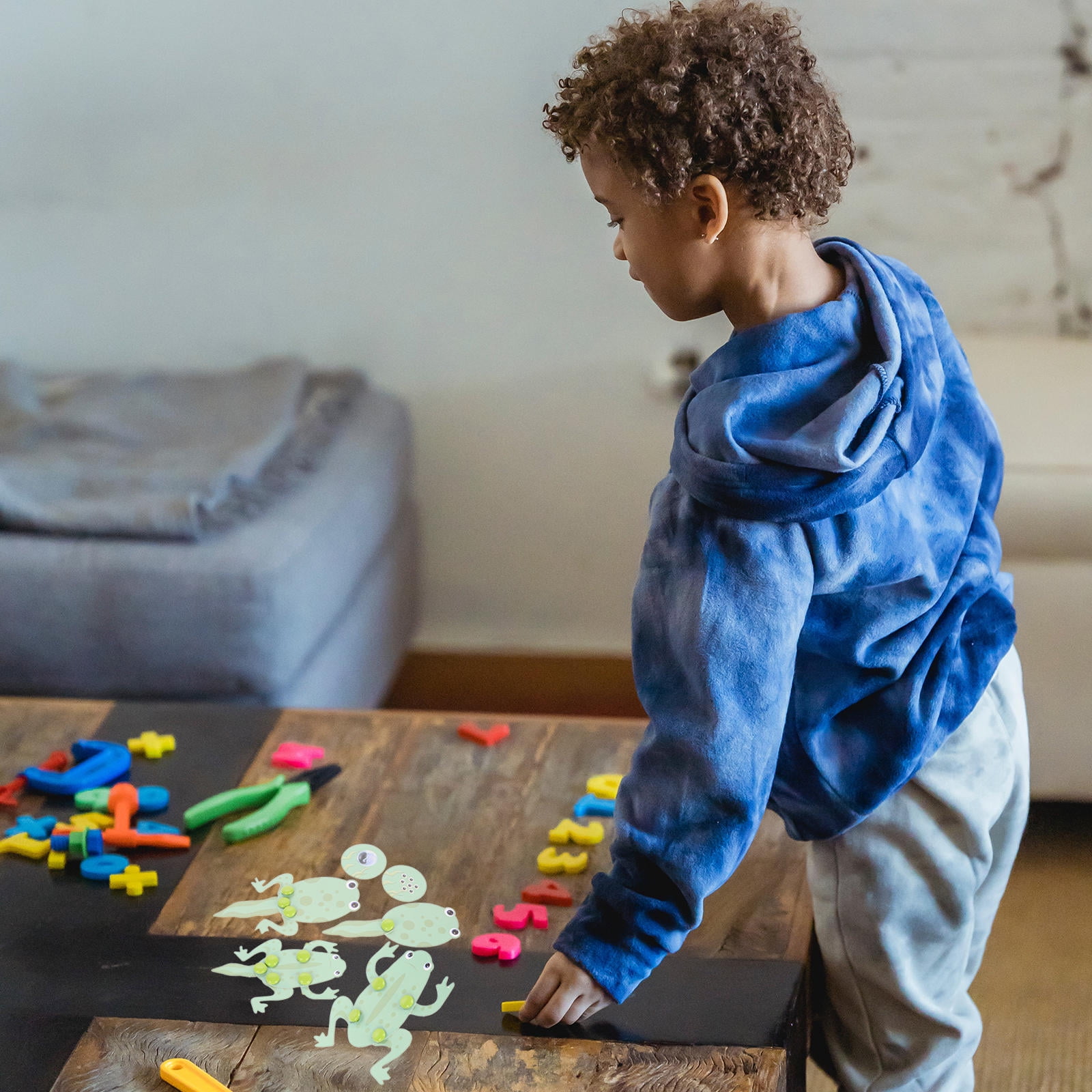 GOOHOCHY 1 Set Of Tadpole Learning Material Frog Biology Material Frog ...