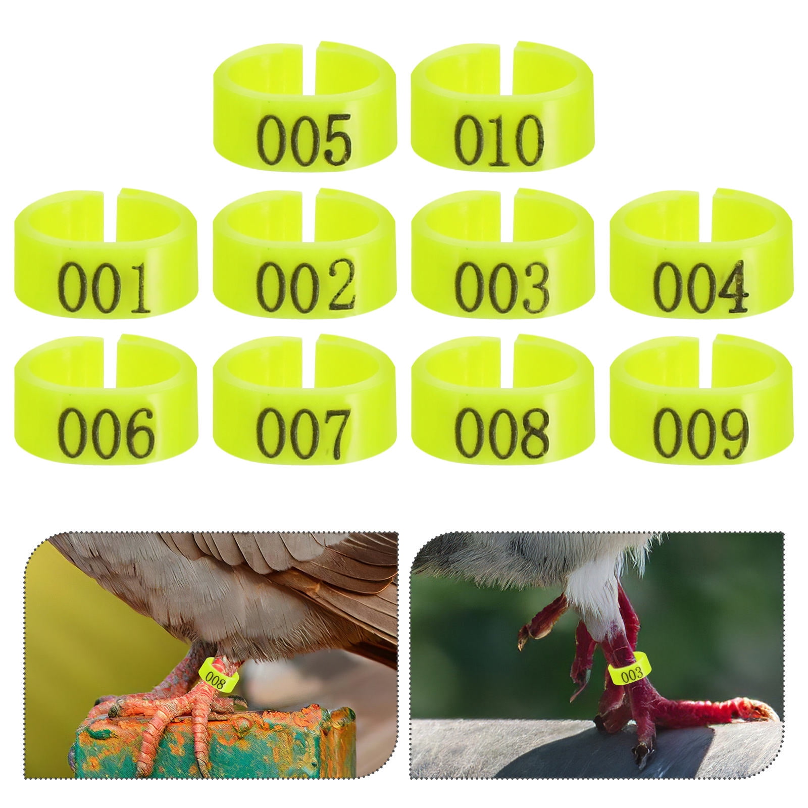 GOOHOCHY 100pcs Numbered Pigeon Leg Bands Bird Identification Rings ...