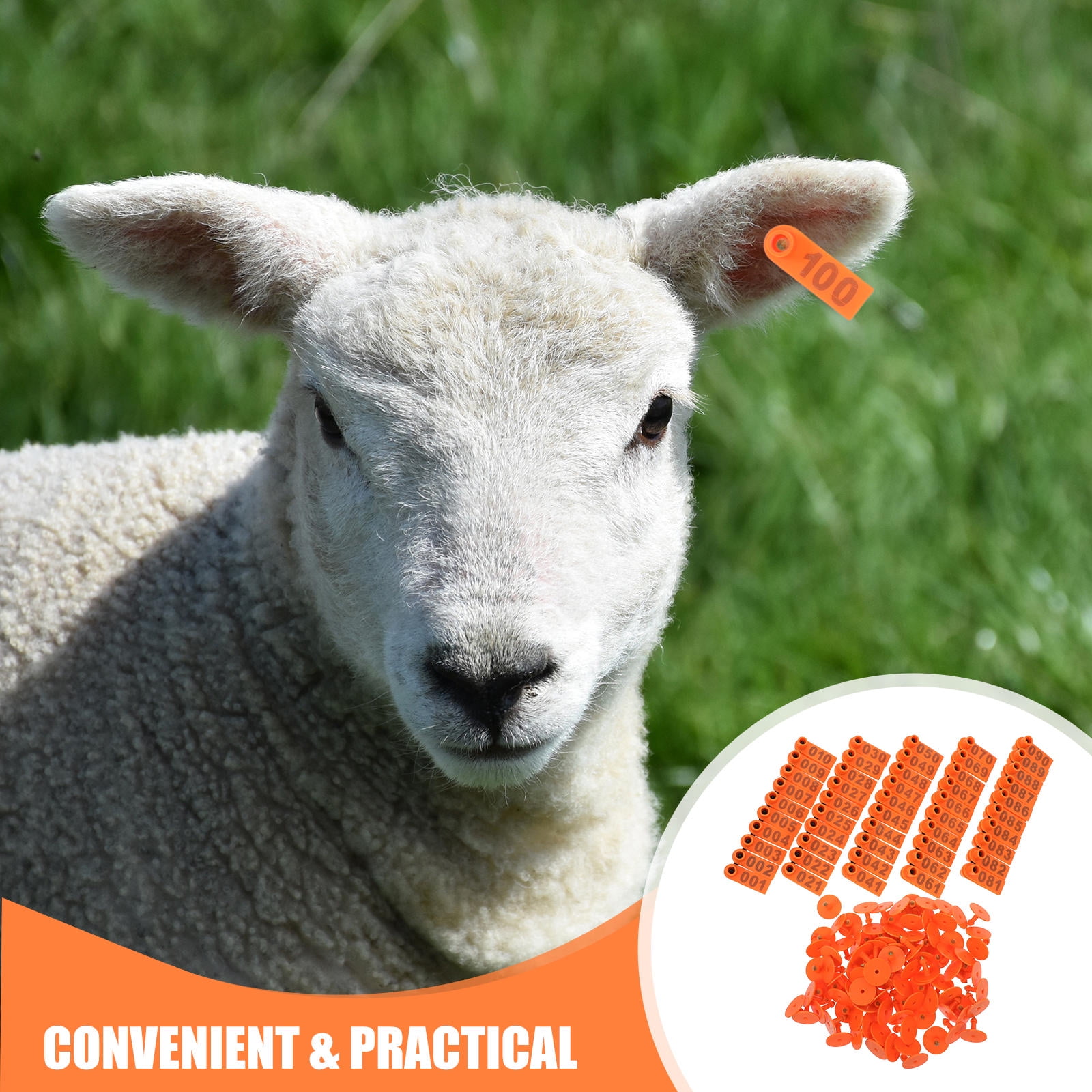GOOHOCHY 100pcs Sheep Ear Tags Cattle Ear Tags Ear Tags For Cattle Cow ...