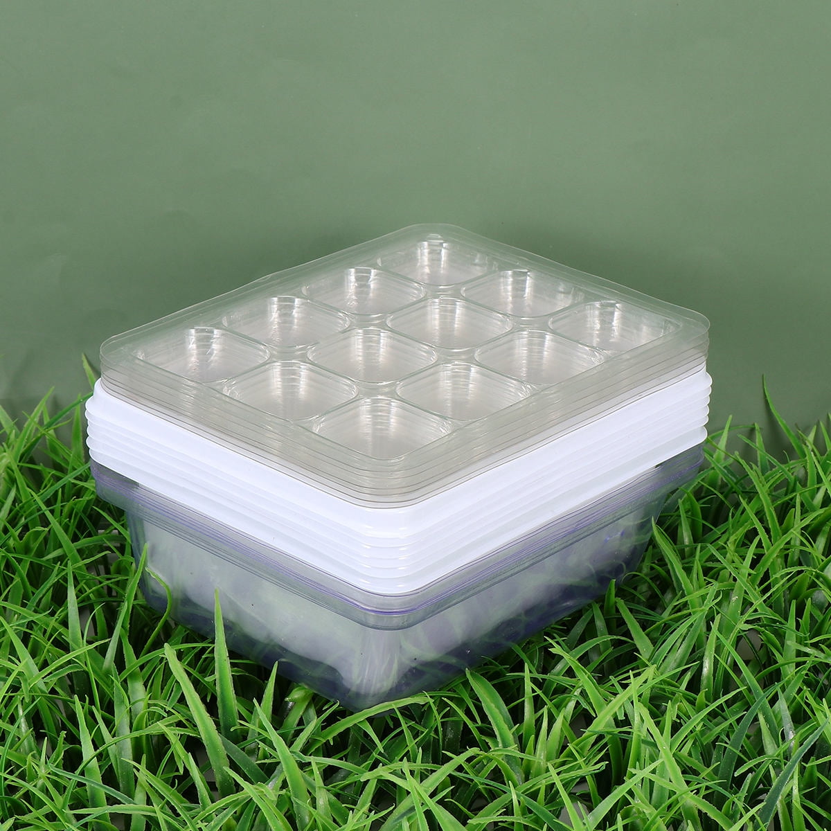 GOOHOCHY 12 Pcs Seedling Box Label Plant Labels for Seedlings Trays ...