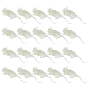 Prank Mouse
