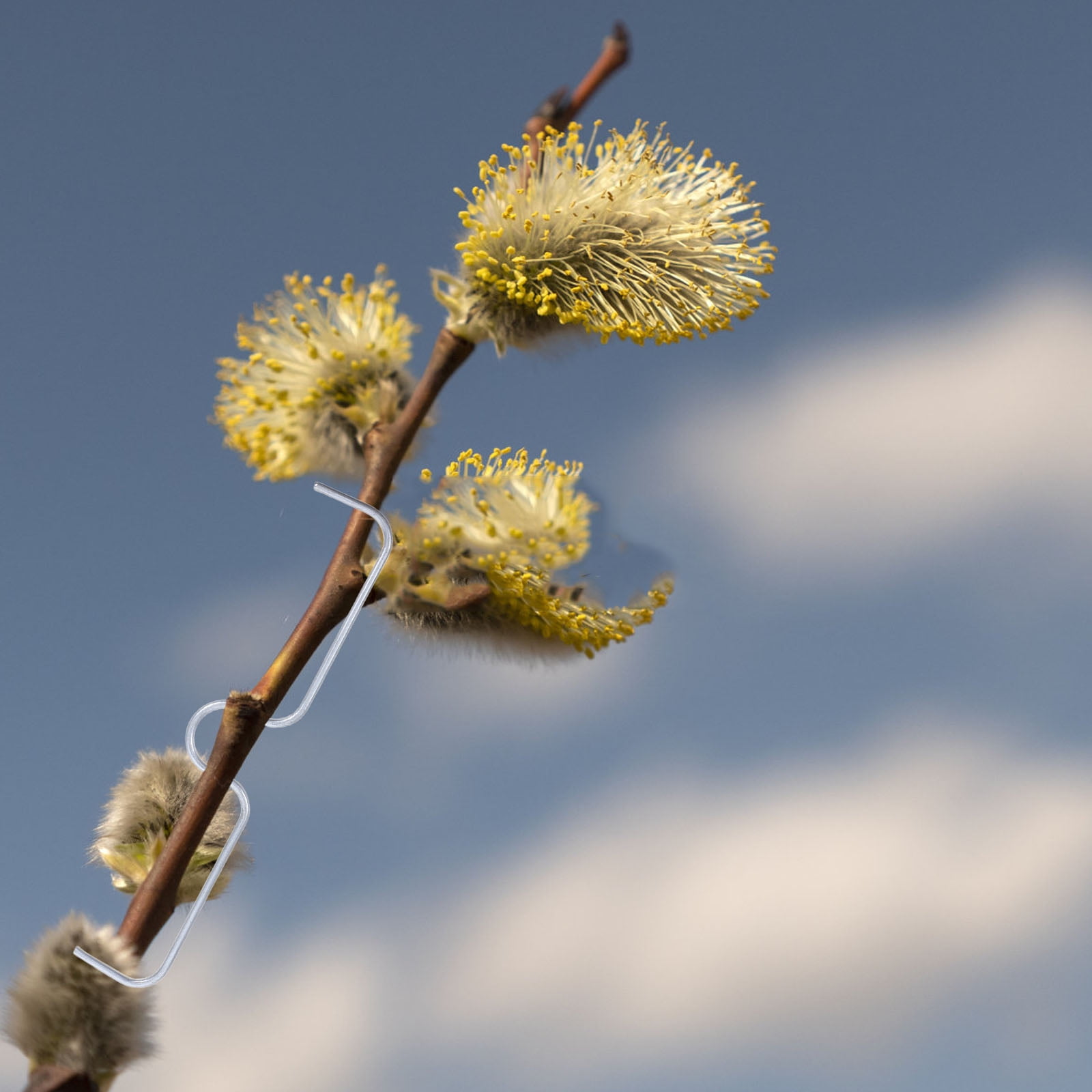 GOOHOCHY 21Pcs Fruit Tree Branch Spreader Tree Branch Trainer Metal ...