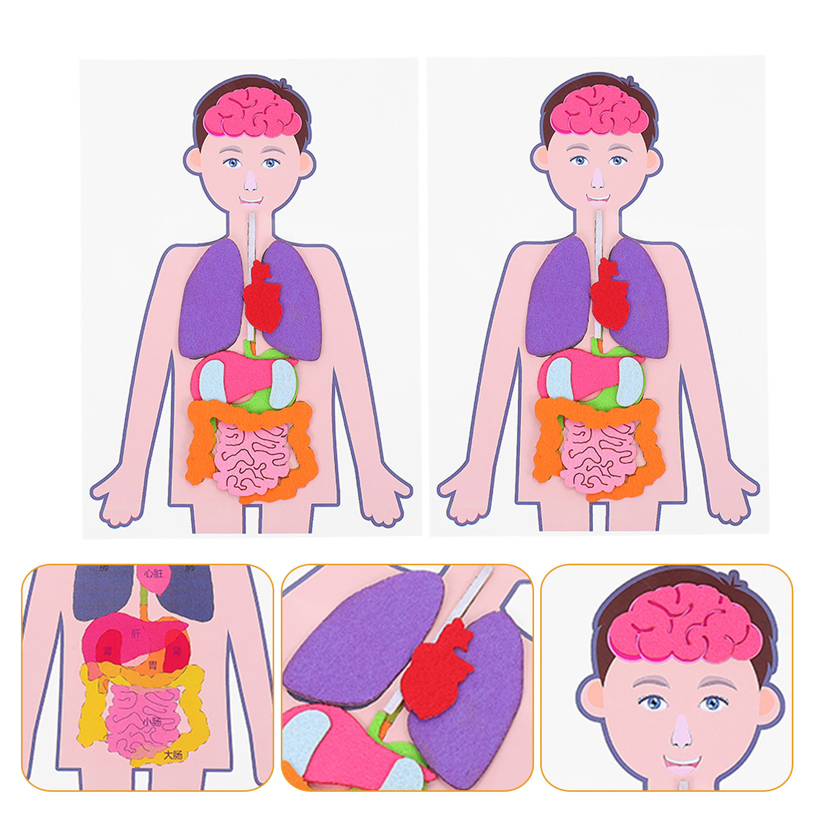 GOOHOCHY 2Sets Anatomy Puzzle for Kids in Human Organs Shape for ...