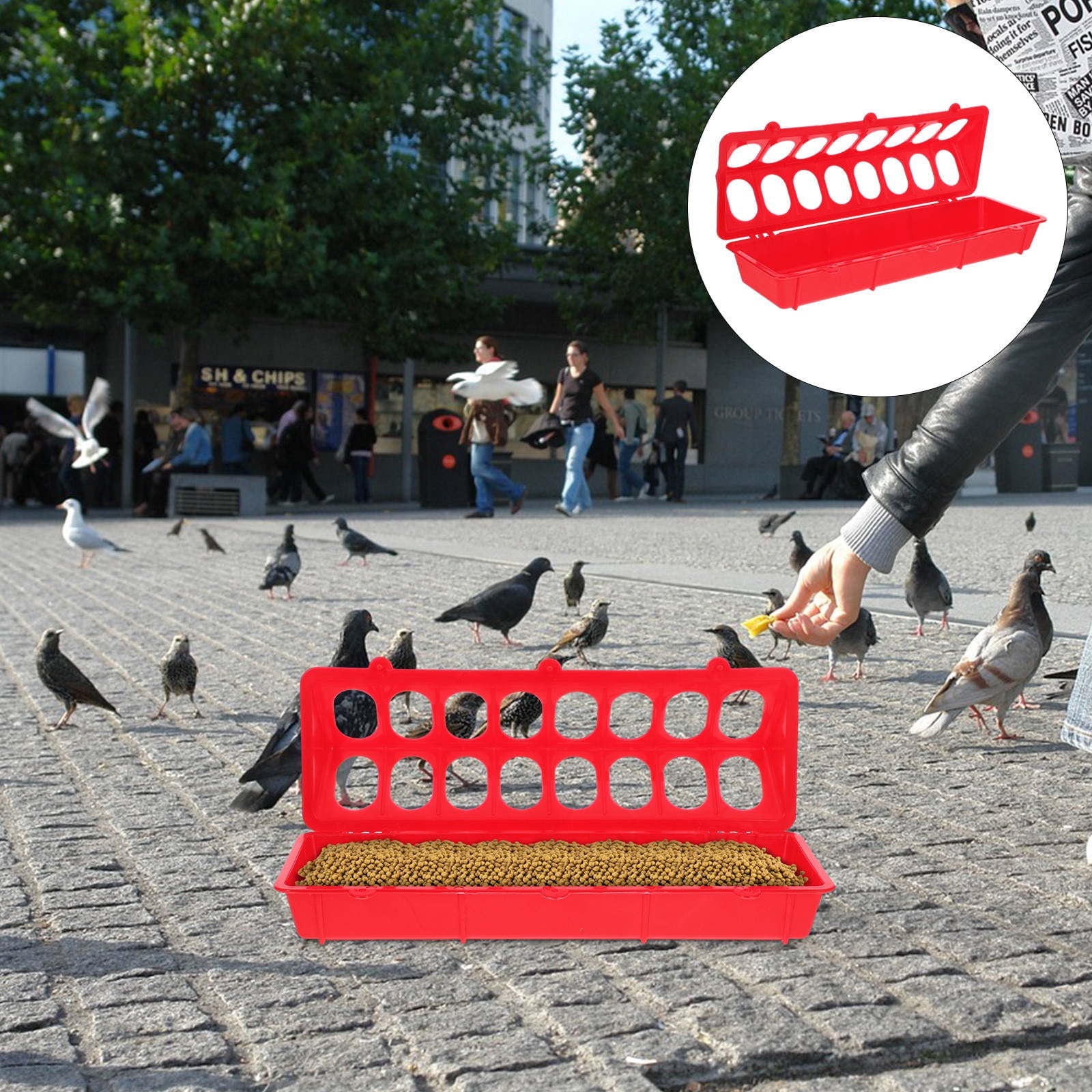 GOOHOCHY 2pcs Portable Bird Feeding Holders Pigeon Feeder Containers ...