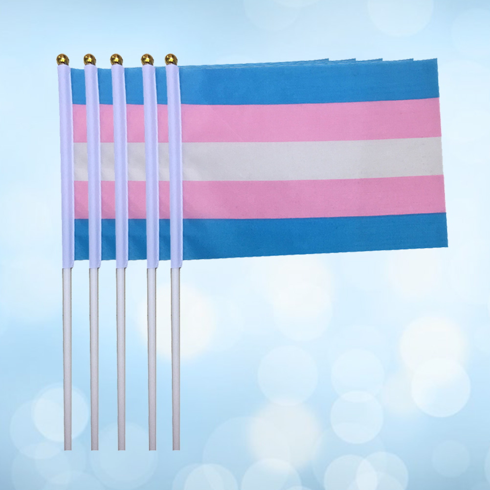 GOOHOCHY 50 Pcs Hand Waving Flag Transgender Peace Flag Gay Hand Waving ...