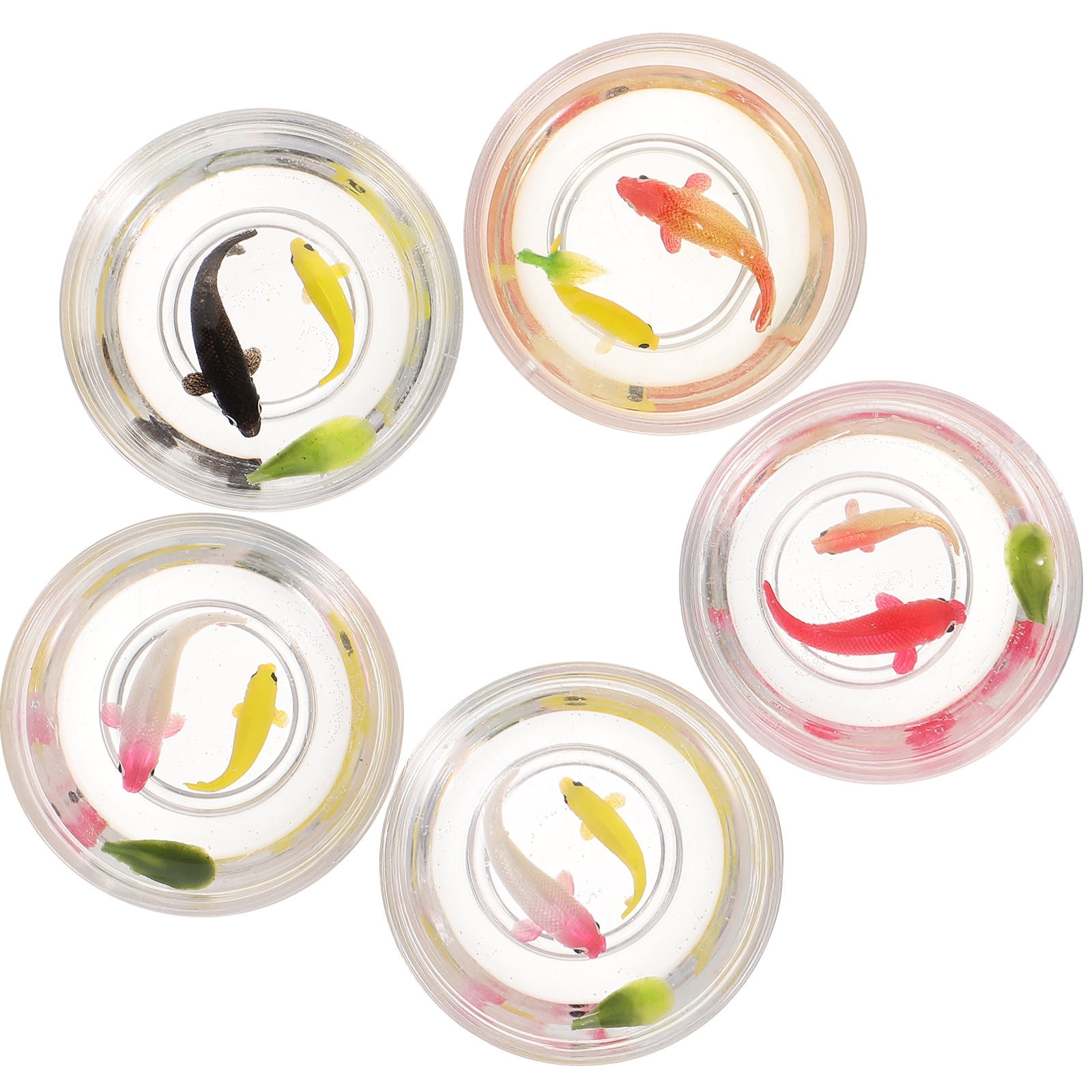 GOOHOCHY 5Pcs Miniature Fish Tank Models Acrylic Glass Aquarium ...