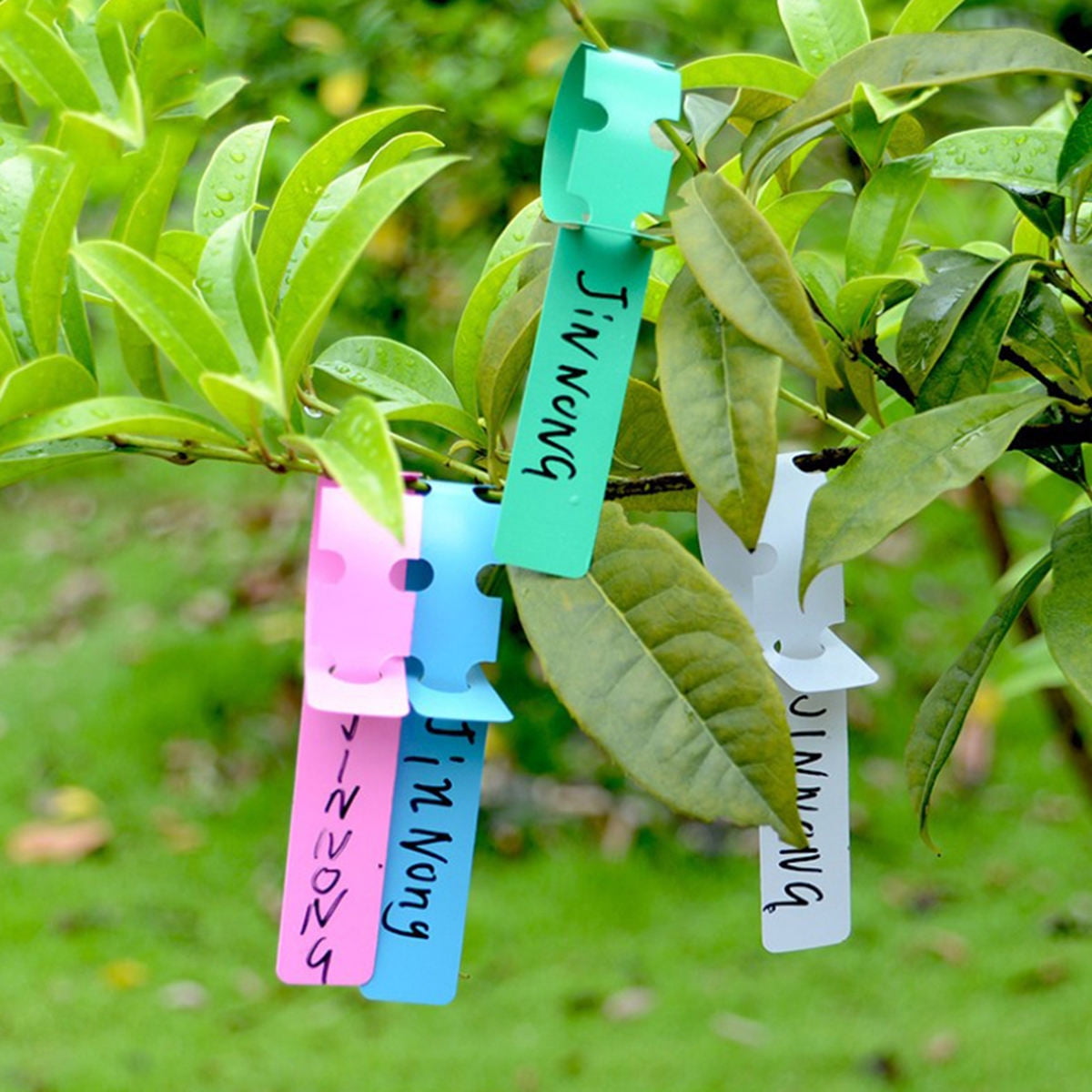 GOOHOCHY 600 Pcs Flower Plant Label Nursery Garden Labels Tags ...