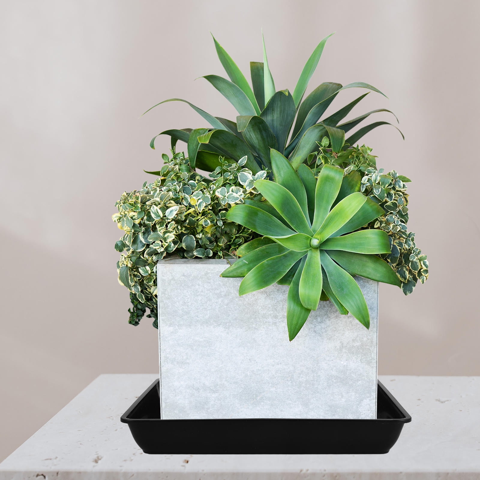 GOOHOCHY 6pcs Square Planter Base Saucers Bonsai Potted Plant Tray ...