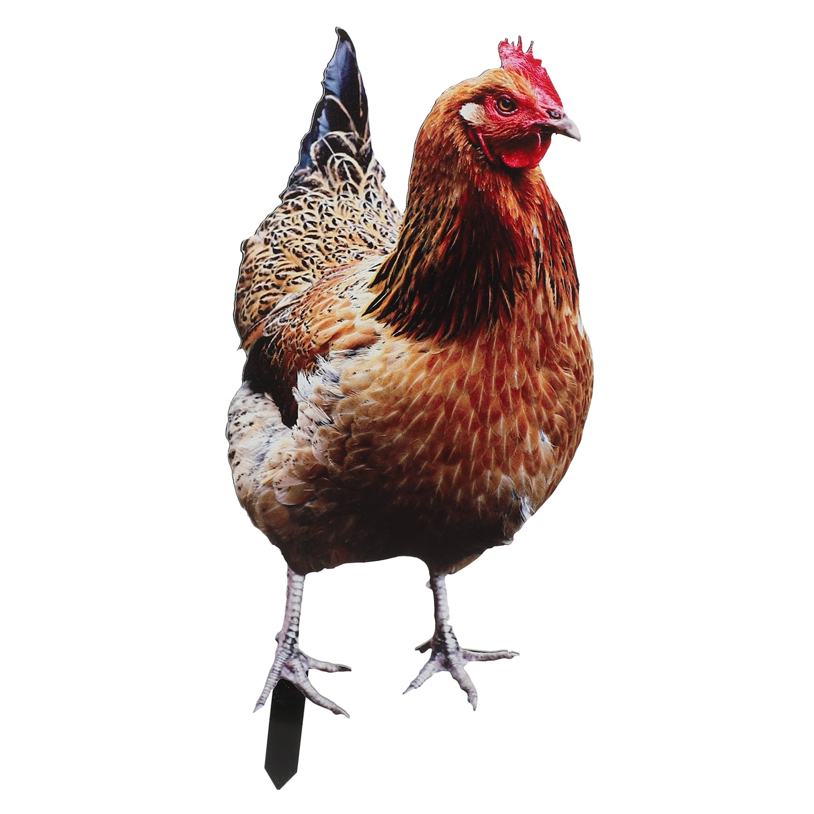 GOOHOCHY Acrylic Rooster Signage Prop for Decor Garden Stake Display 6. ...