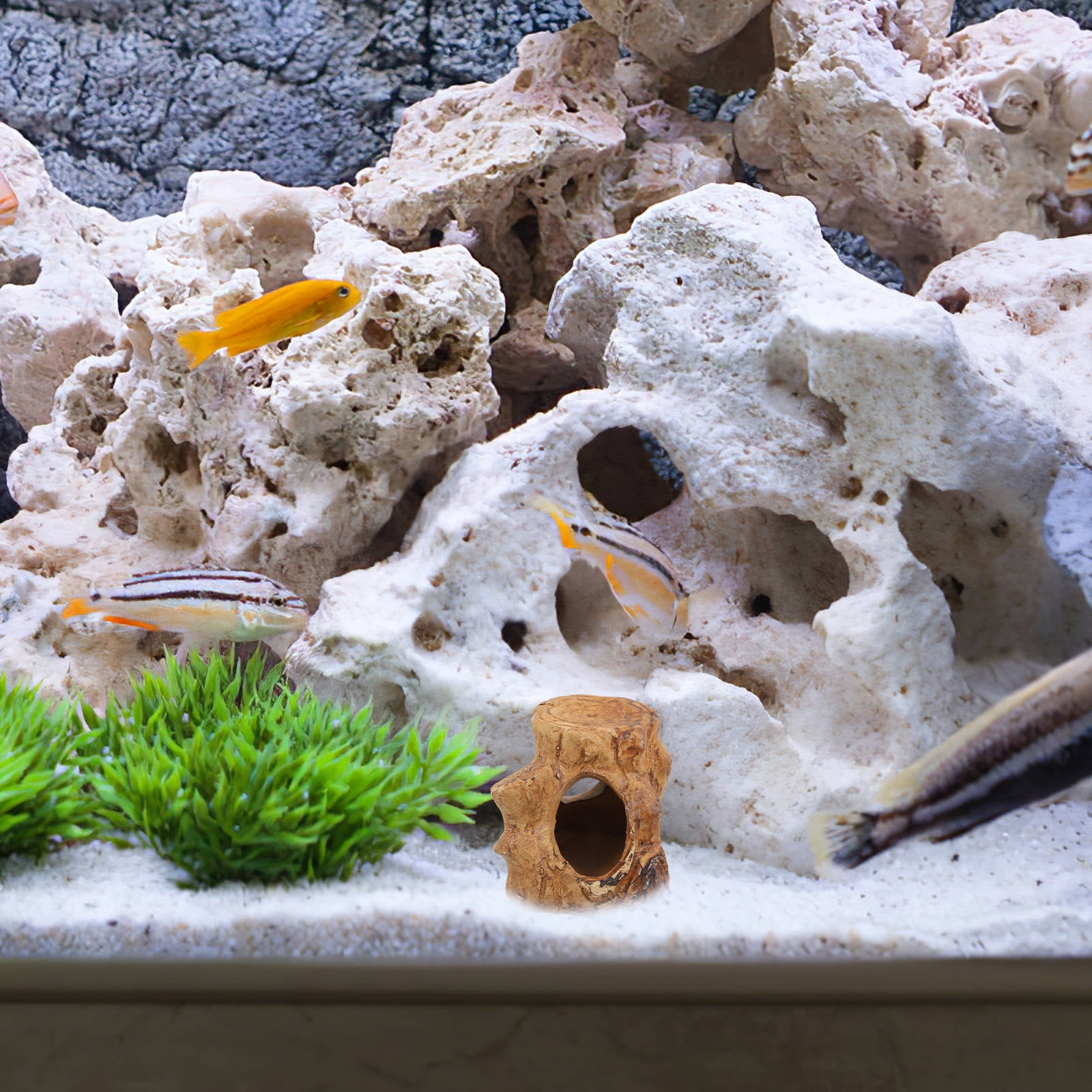 GOOHOCHY Aquarium Hideout Fish Tank Shrimp Cave Betta Fish Hideout ...