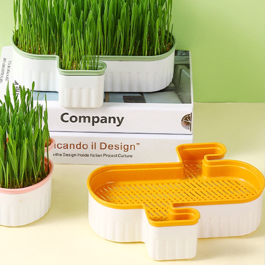 GOOHOCHY Assorted Color Plastic Cat Grass Planter for Home Gardening ...