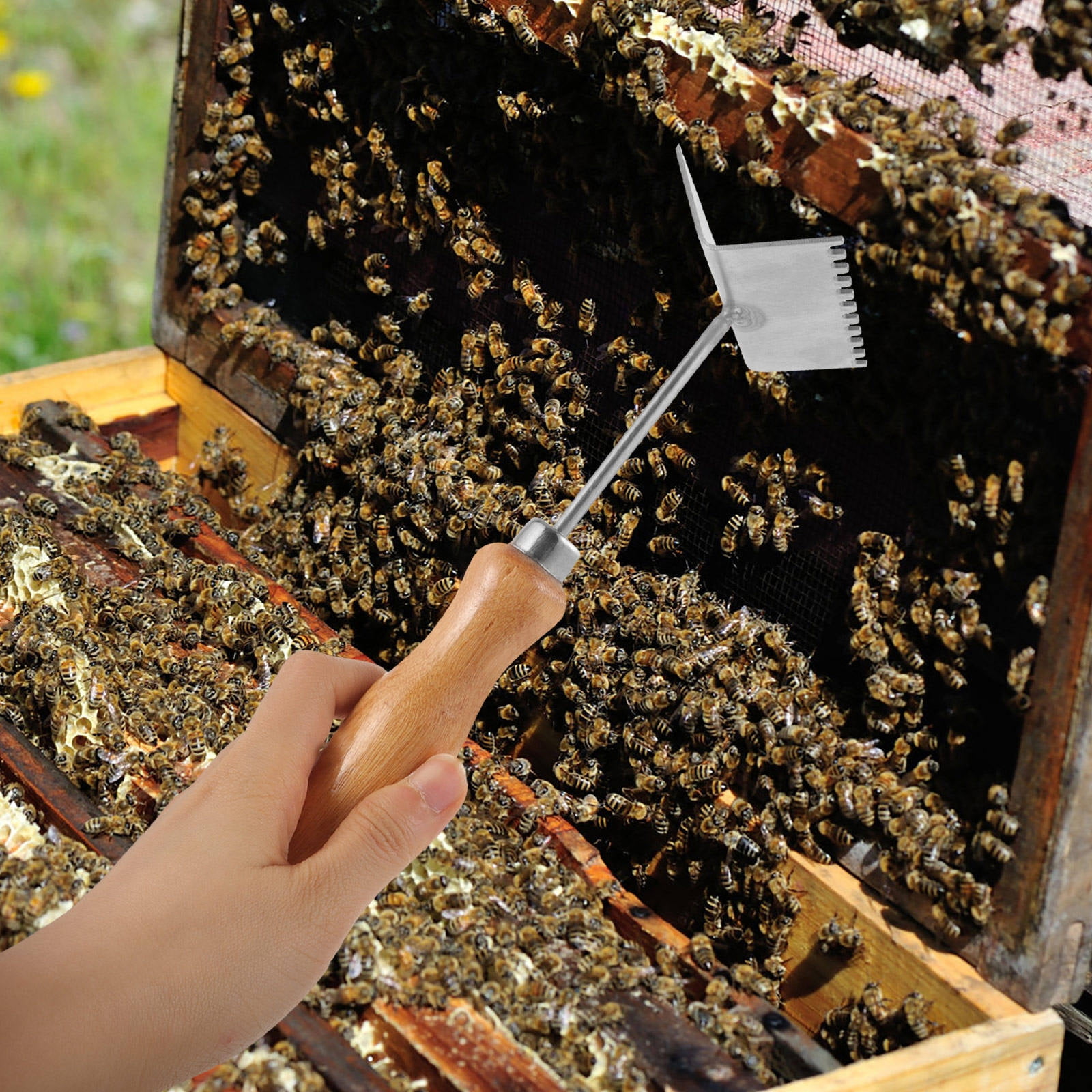 GOOHOCHY Beehive Cleaning Shovel with Stainless Steel Blade for ...