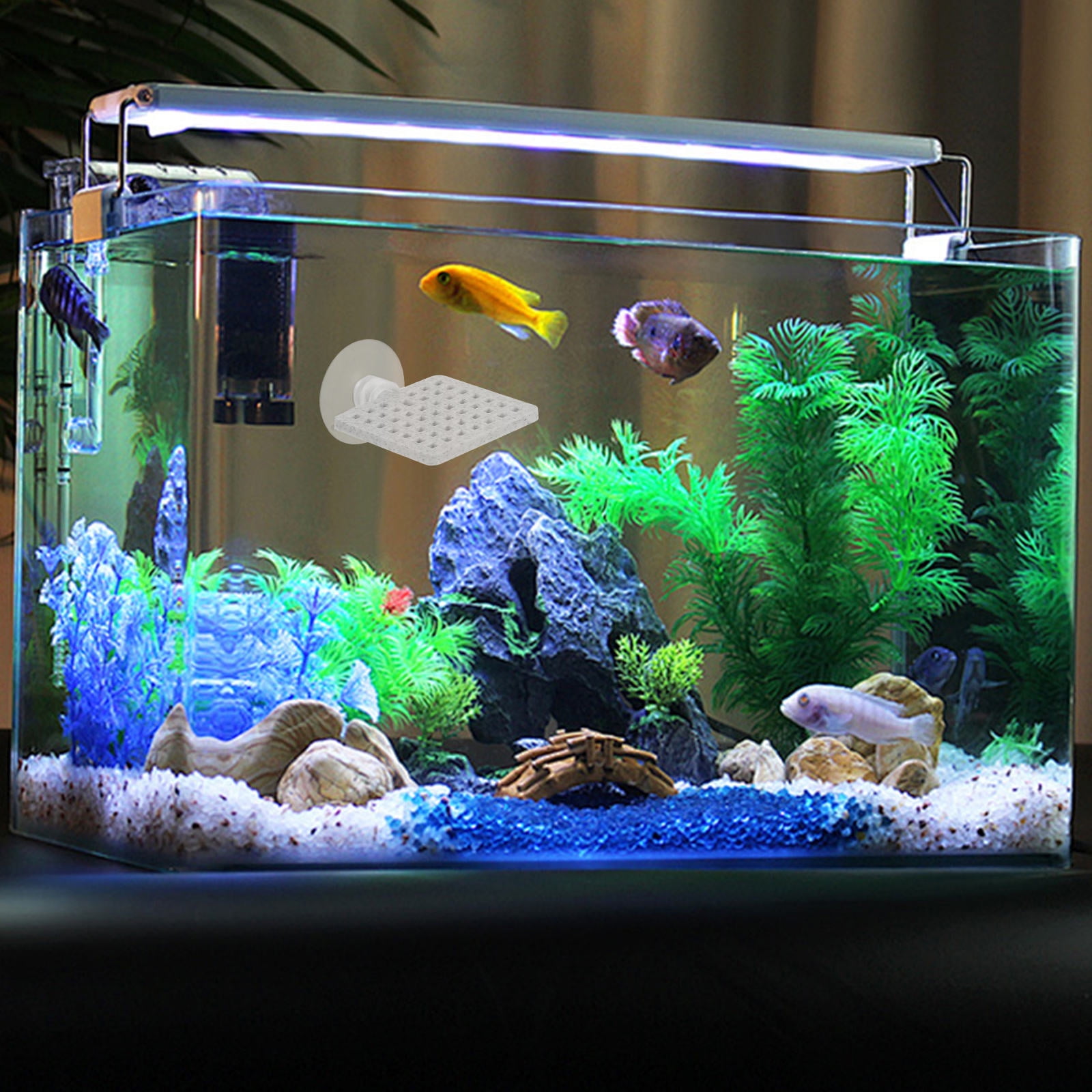 GOOHOCHY Betta Fish Resting Bed 3d Aquarium Decoration Realistic Betta ...
