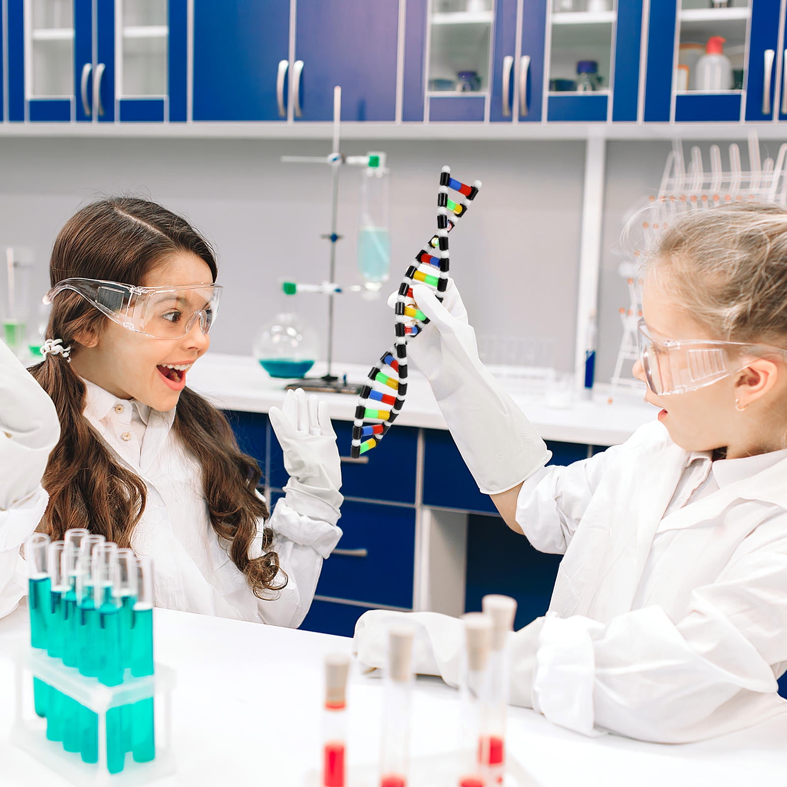 GOOHOCHY Biological Teaching Aids Model Middle School Science Kit DNA ...