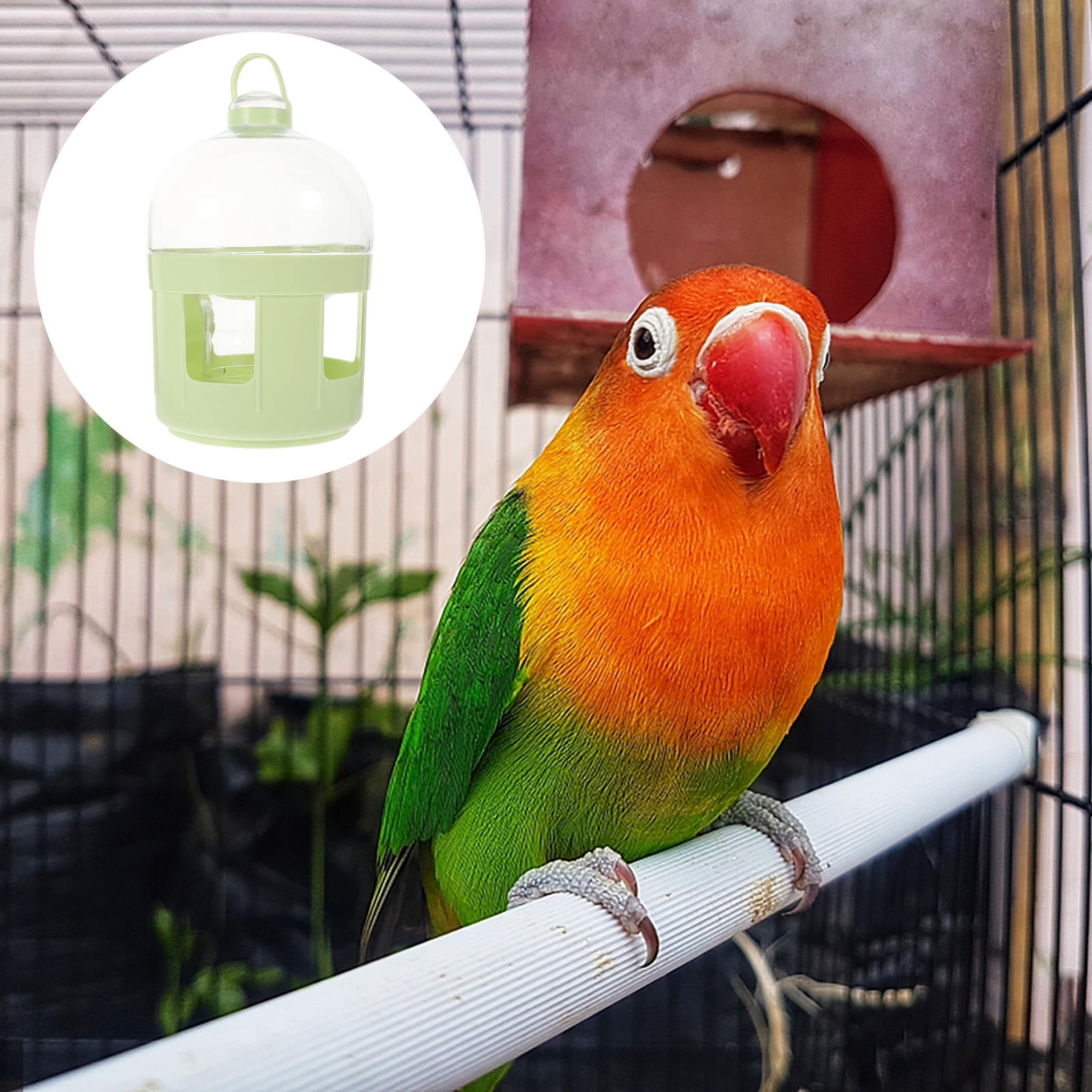 GOOHOCHY Birds Automatic Waterer Water Dispenser Bird Water Dispenser ...