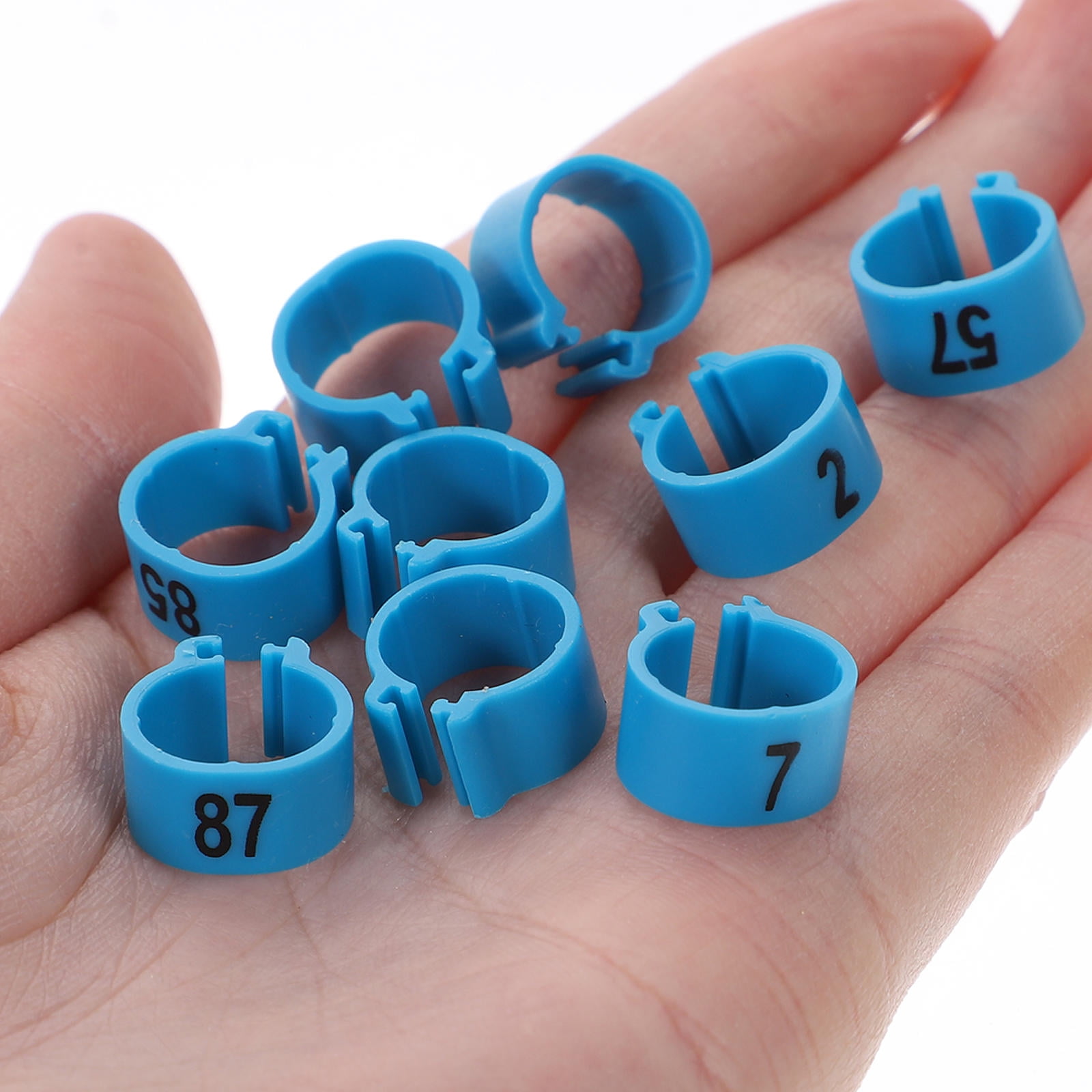 GOOHOCHY Blue Plastic Pigeon Leg Rings for Identification Suitable for ...
