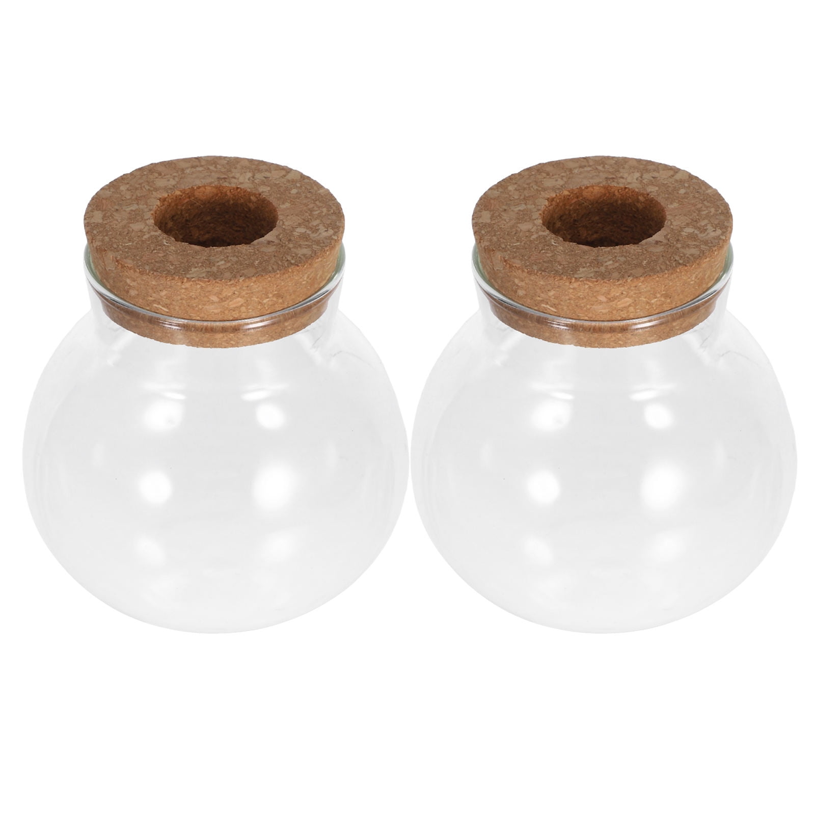 GOOHOCHY Desktop Propagation Station Clear Glass Terrarium Container ...